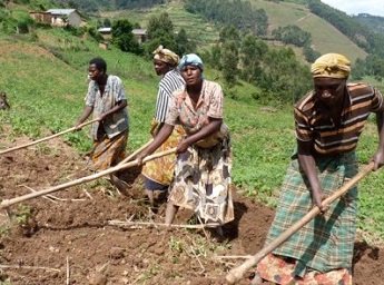 Myths and realities about Africa