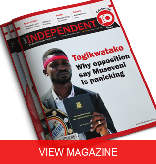 The Independent ISSUE 495