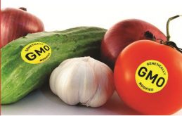 Committee moots new law on GMOs