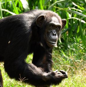 Zakayo Legacy: UWEC to construct museum