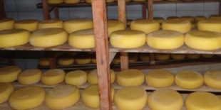 `Let Rwandans eat cheese’