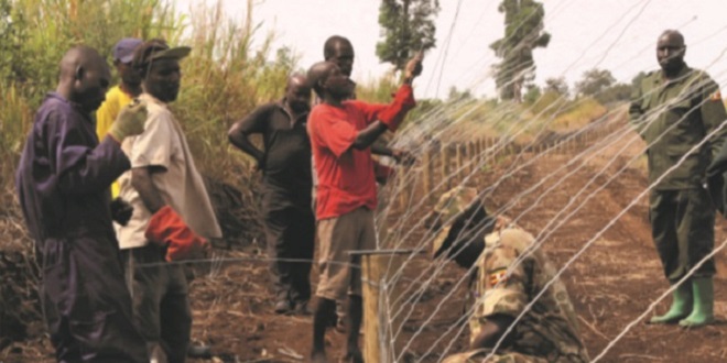 ANALYSIS: When elephants attack people