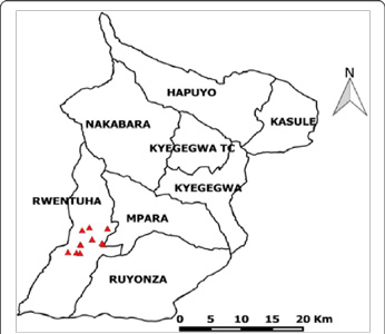 Proposals to create more counties in Kyegegwa split residents