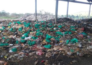 Unclear laws hinder implementation of kavera ban: Study