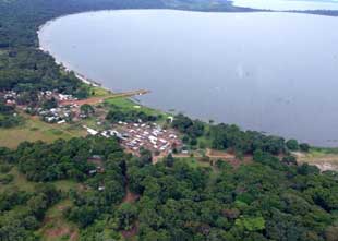 NFA moves to evict forest encroachers in Kalangala