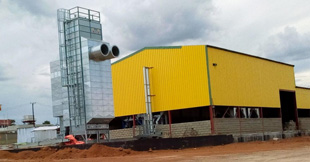 cereals Archives - The Independent Uganda:
