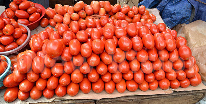 Uganda tomato prices up as demand in Kenya rises