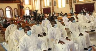 Priests to start erecting fences as thieves target Churches