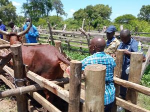 Pader residents protest reopening of Aswa Ranch boundaries