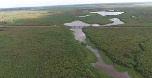 John Musila Archives - The Independent Uganda: