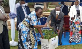 Buganda seeks special status over forests, wetlands