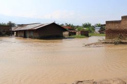 1,000 displaced by floods in Bukedea district