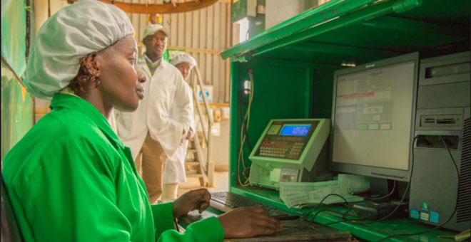 Kenya Tea Development Agency brews perfect technology mix