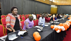 Parliament tasked on sexual violence reports