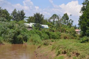 Population pressure delays Butaleja wetlands restoration