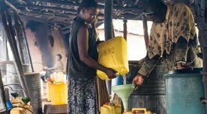 Illicit waragi distilling resumes in Mbale despite ban