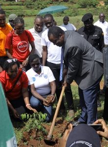 ROOTS campaign surpasses one million trees planted during this year’s ...