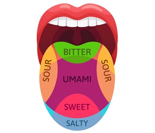 Researchers find Sixth basic taste in human