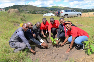 Absa Bank Uganda, Bishop Stuart University plant 500 trees to mark ...