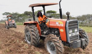 It begins with the soil