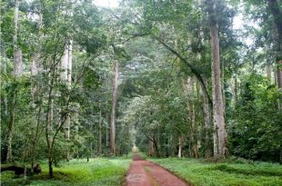 Buliisa landowners, Bunyoro Prince, NFA feud over land