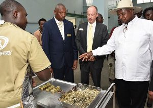 Uganda’s gold export data continues to haunt sector