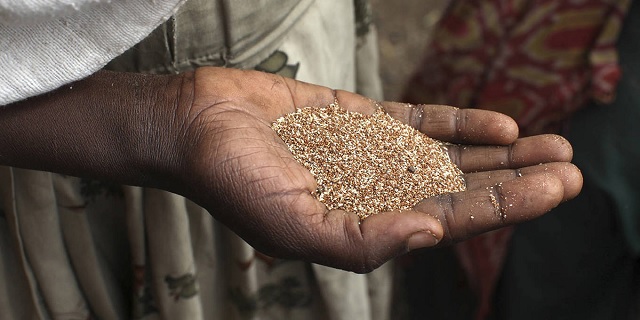 Africa’s food security depends on adaptive crops