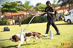 READY: 34 police officers complete sniffer dog handling course